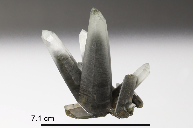 Canada Mineral Gallery (I-Z) | Tysons Fine Minerals